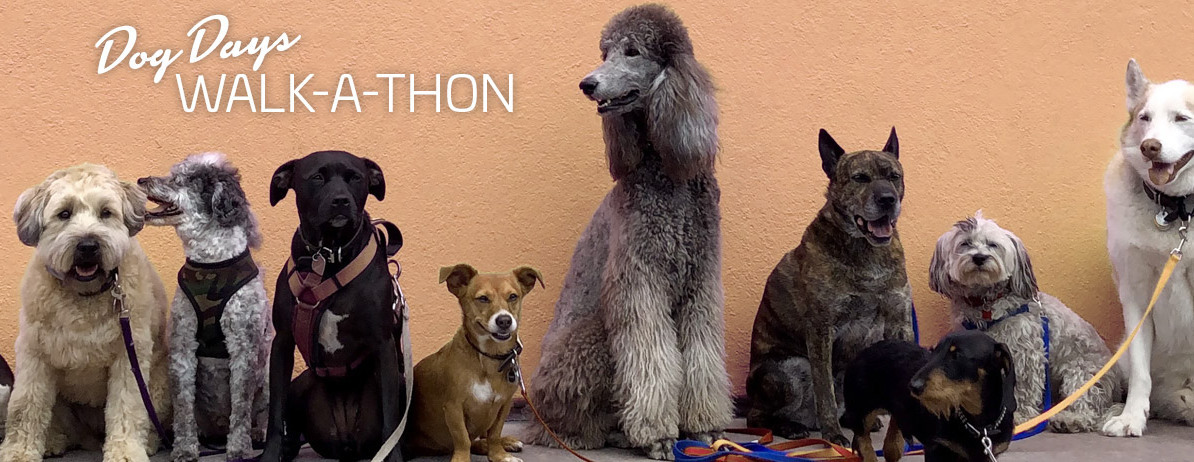 Dog Walkathon